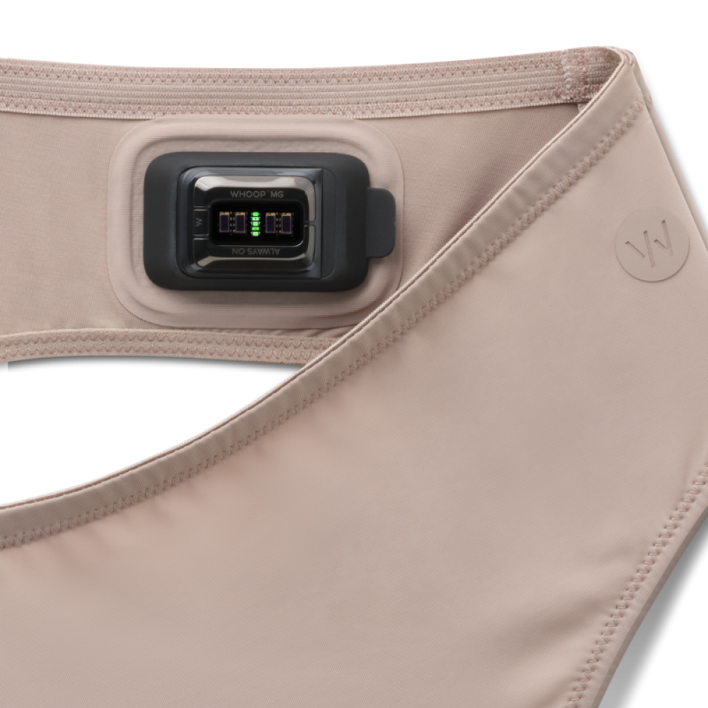 Whoop Essential Thong กางเกงในพร้อมช่อง Any‑Wear Pod ใช้งานร่วมกับ ...