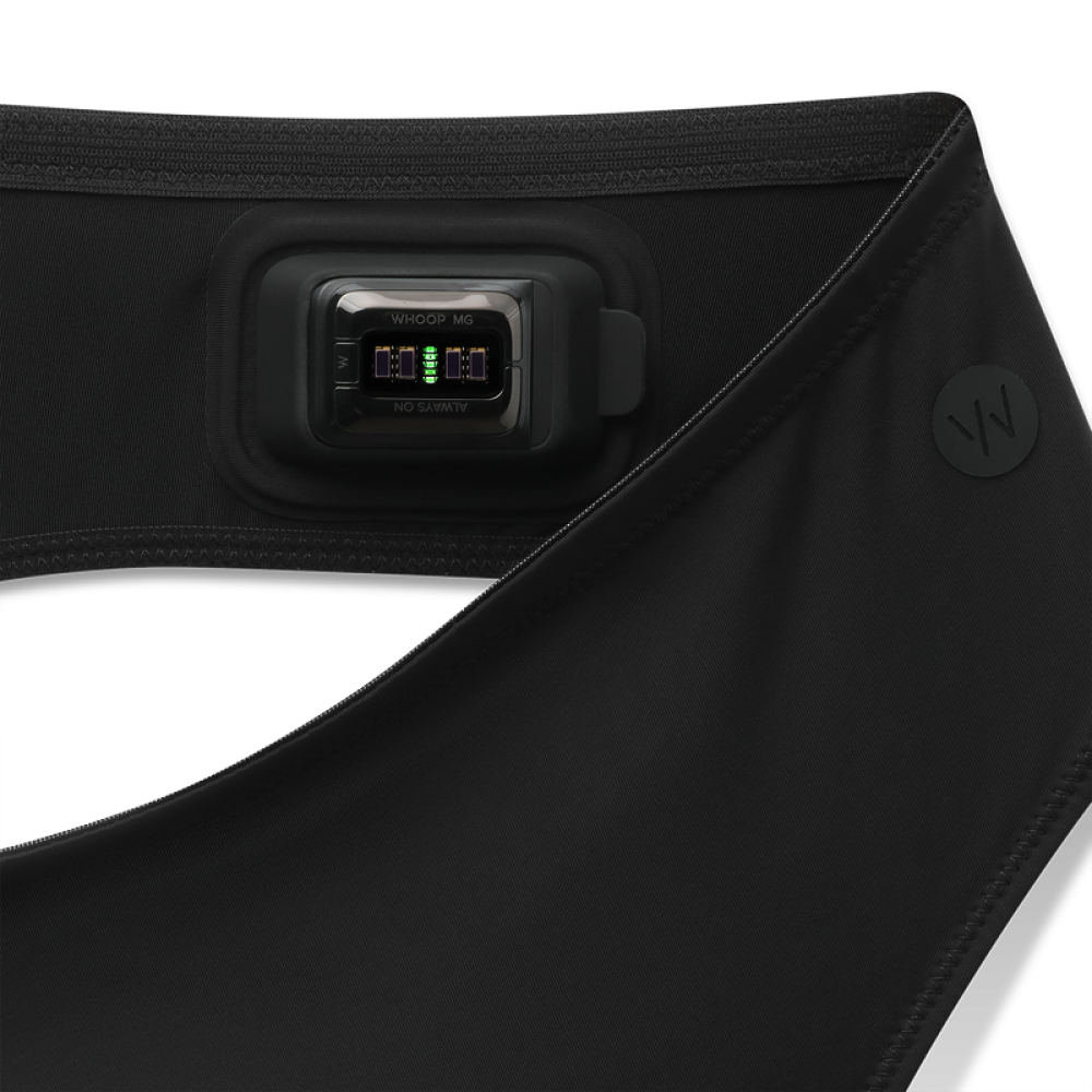 Whoop Essential Thong กางเกงในพร้อมช่อง Any‑Wear Pod ใช้งานร่วมกับ ...
