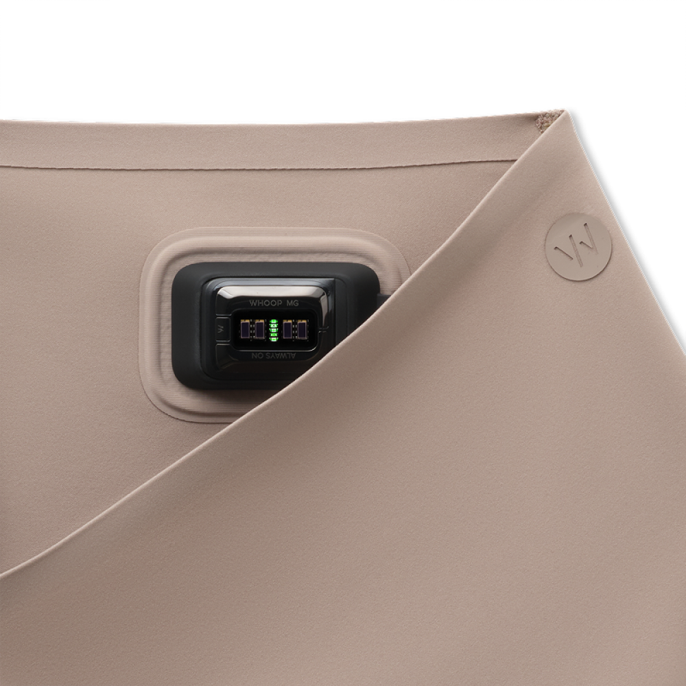 Whoop Essential Brief กางเกงในพร้อมช่อง Any‑Wear Pod ใช้งานร่วมกับ ...